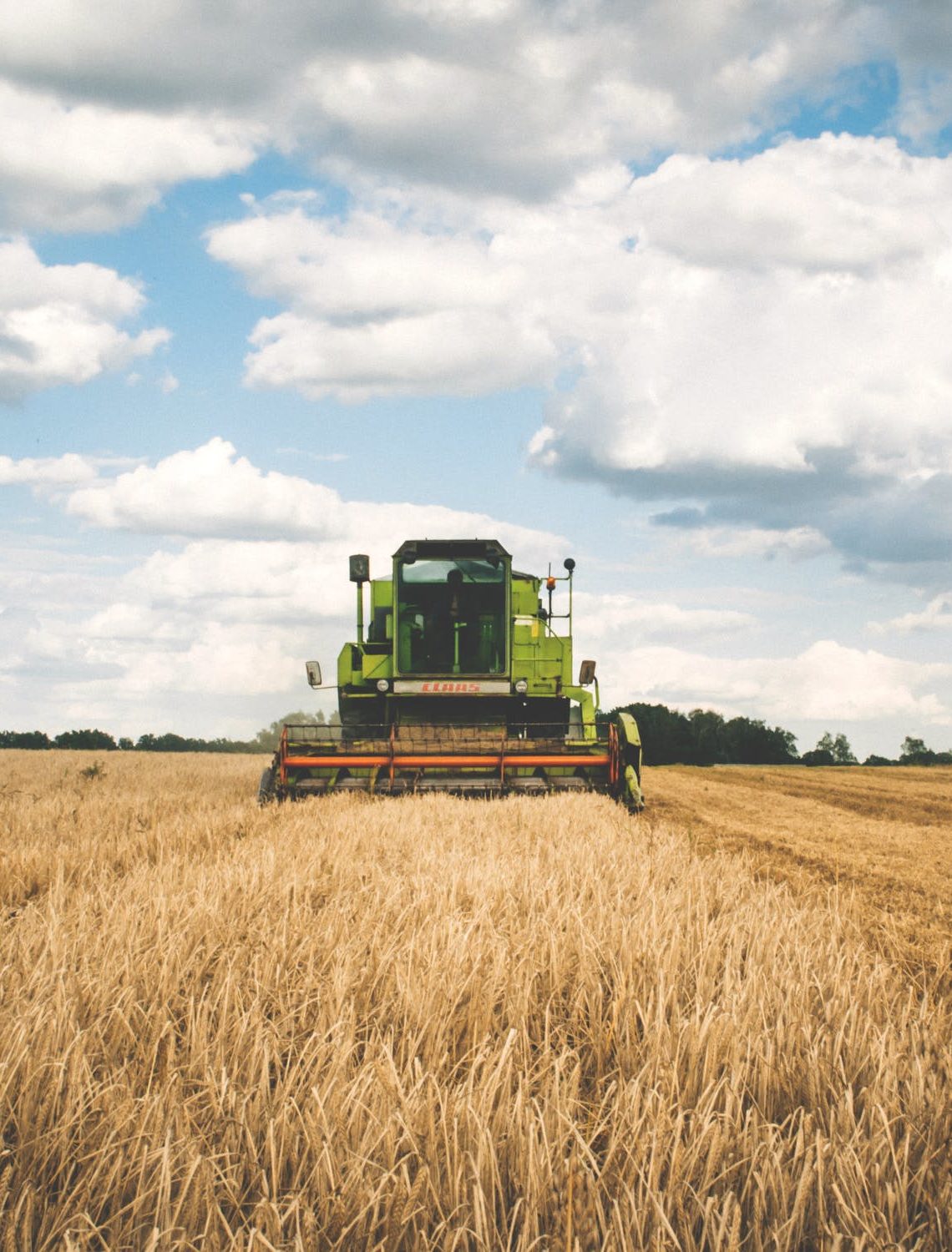 Байгууллагын ХАБЭА-н сургалт - Oshmi Group